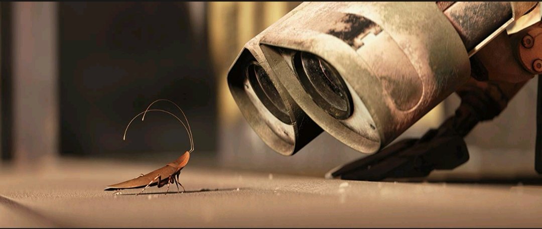 Film Review: WALL-E (2008) – MLGG: Pop Culture News, Reviews & Interviews